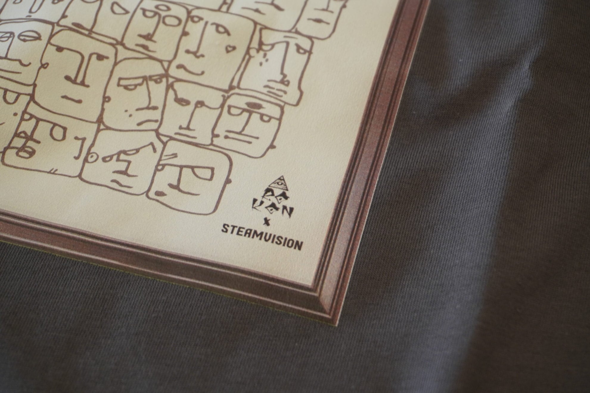 CANVA - Steamvision